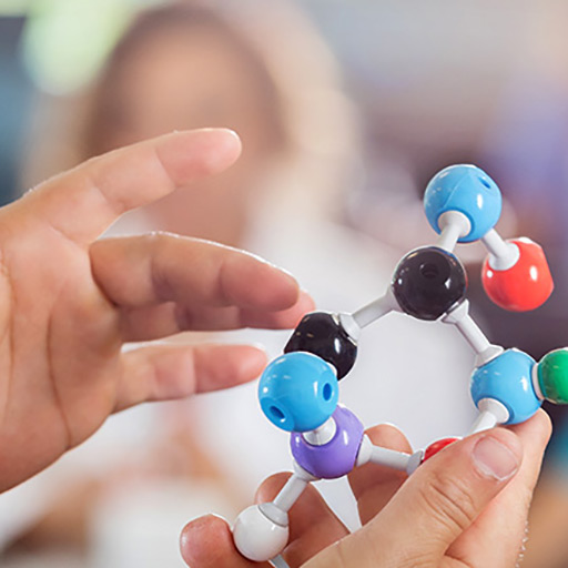 Faculty of Science & Letters | Faculty of Science & Letters